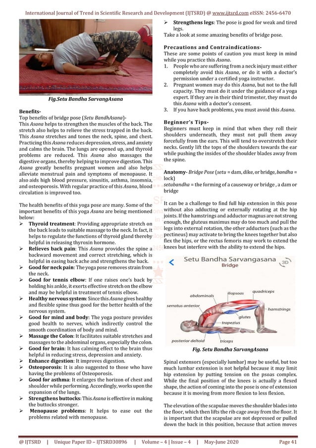 Significance of Setu Bandha Sarvangasana in Healthy Life | PDF ...