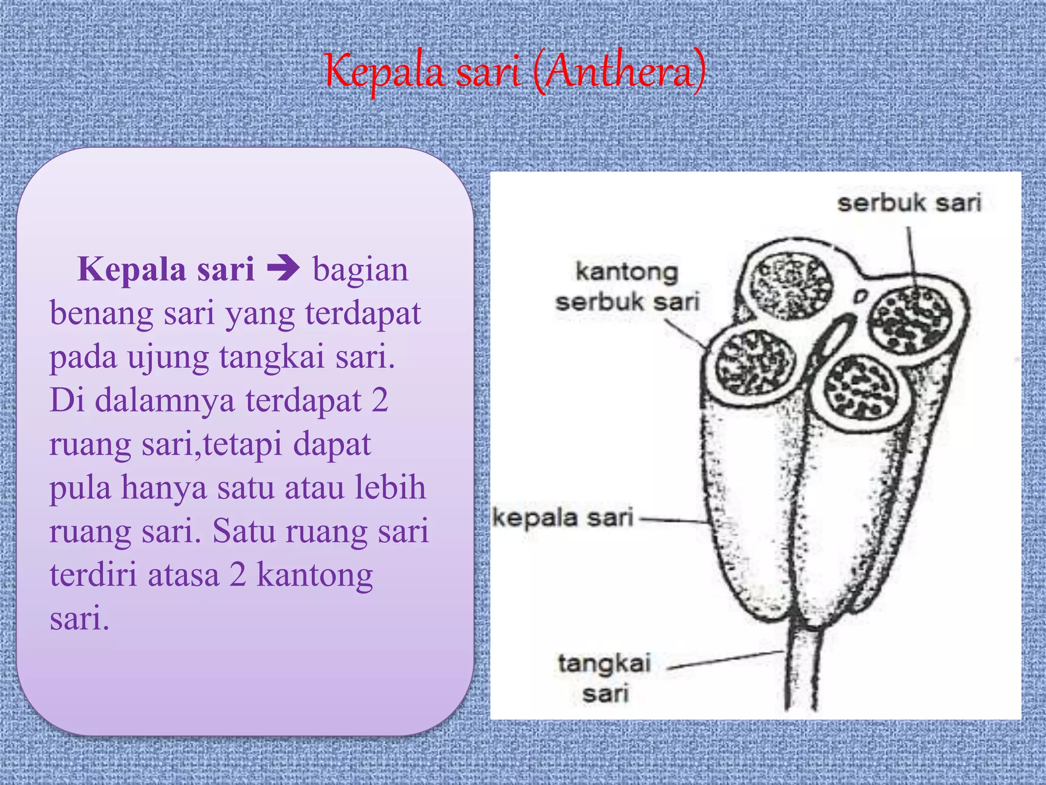 PPT Morfologi Tumbuhan - Jenis dan Bagian Bunga | PPTX