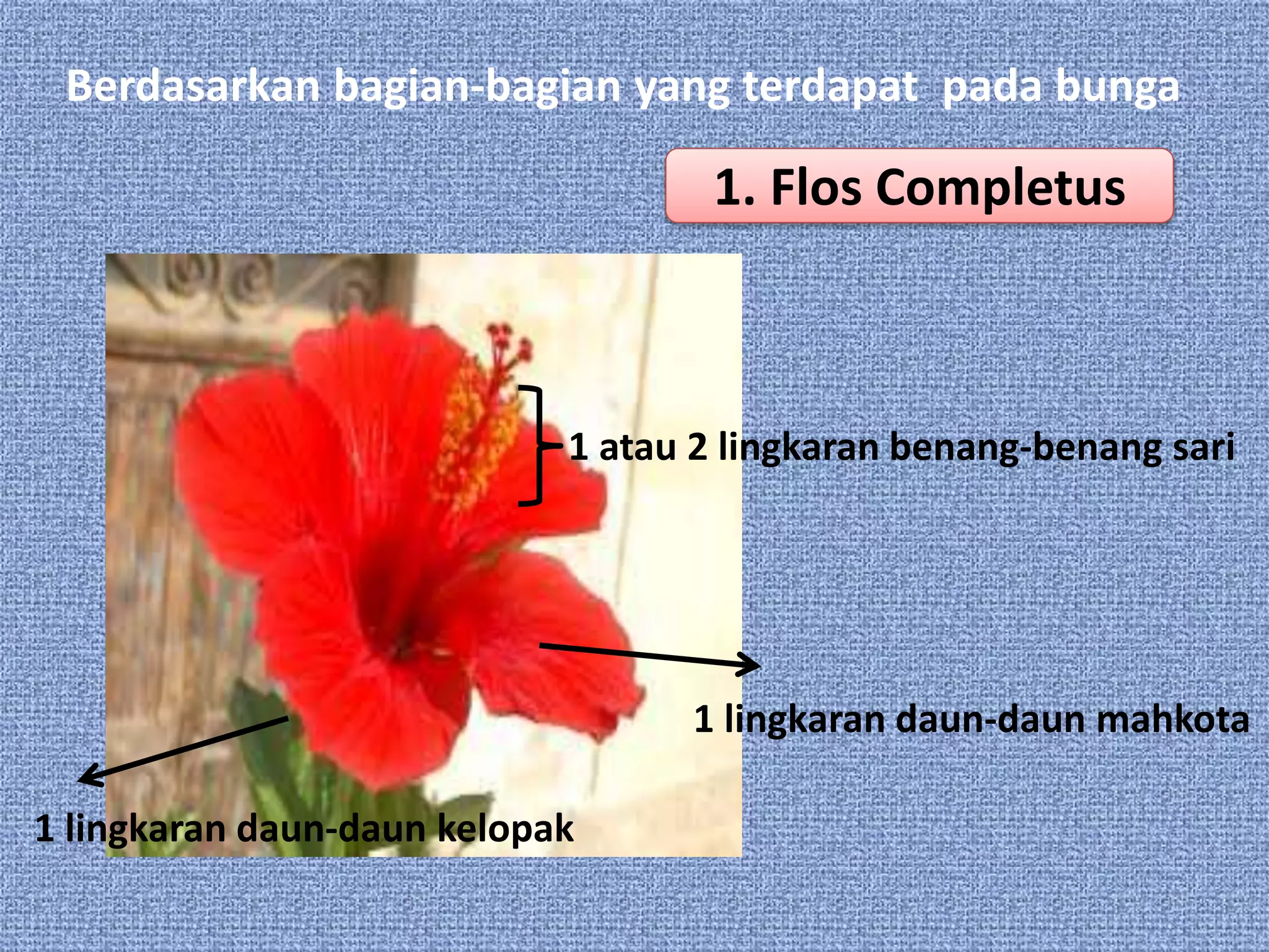 PPT Morfologi Tumbuhan - Jenis dan Bagian Bunga | PPTX