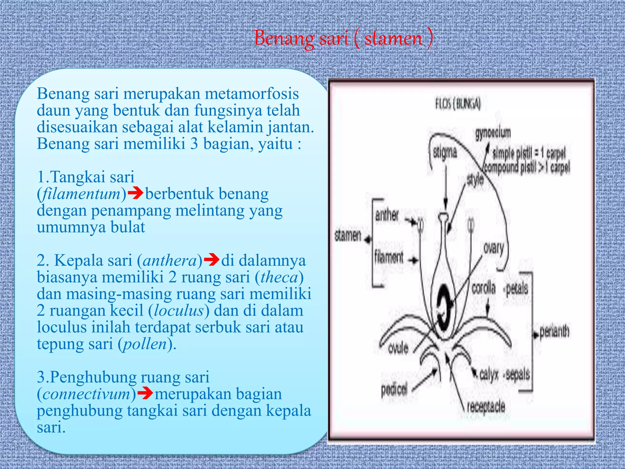 PPT Morfologi Tumbuhan - Jenis dan Bagian Bunga | PPTX