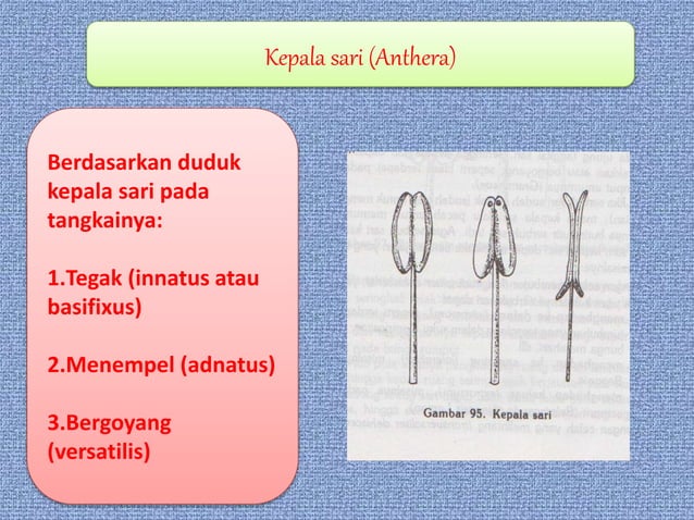 PPT Morfologi Tumbuhan - Jenis dan Bagian Bunga | PPTX