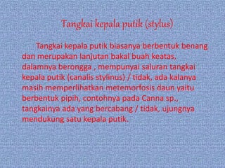 PPT Morfologi Tumbuhan - Jenis dan Bagian Bunga | PPTX