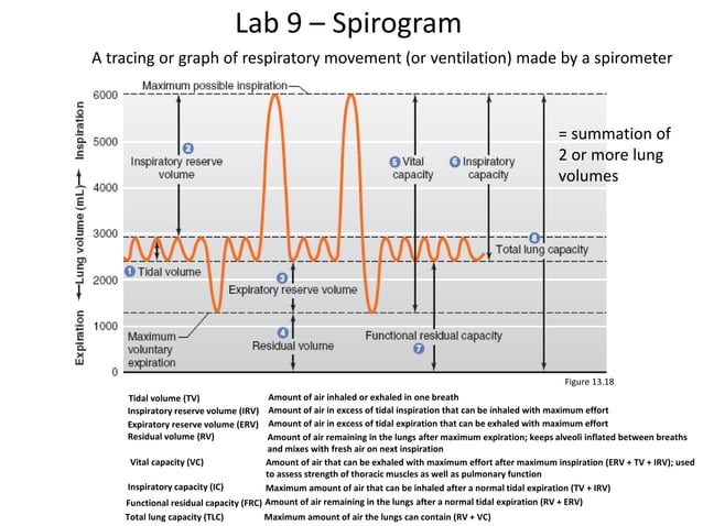 Spiro lab | PPT