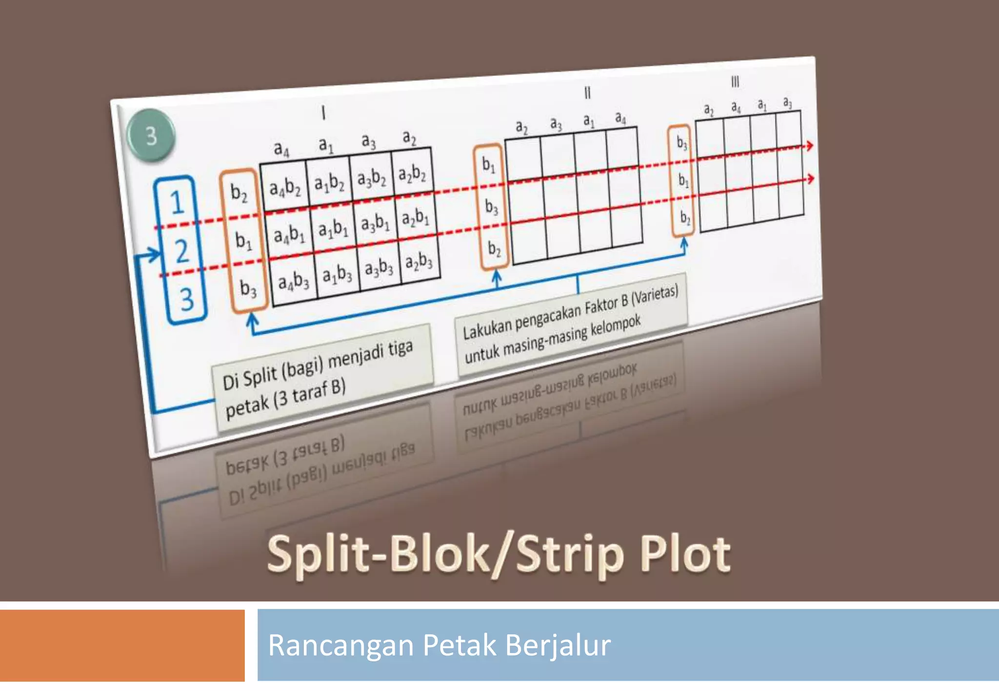 Rancangan Petak Berjalur (Split Blok) | PPTX