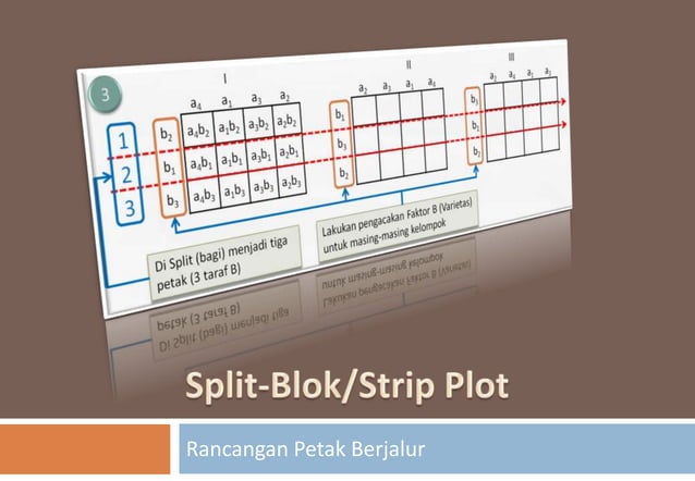 Rancangan Petak Berjalur (Split Blok) | PPTX