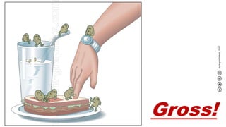 Importance of Hand washing | PPTX