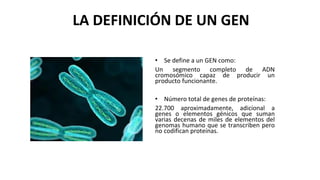 La definición de un gen | PPTX