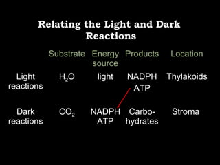 Photosynthesis | PPT