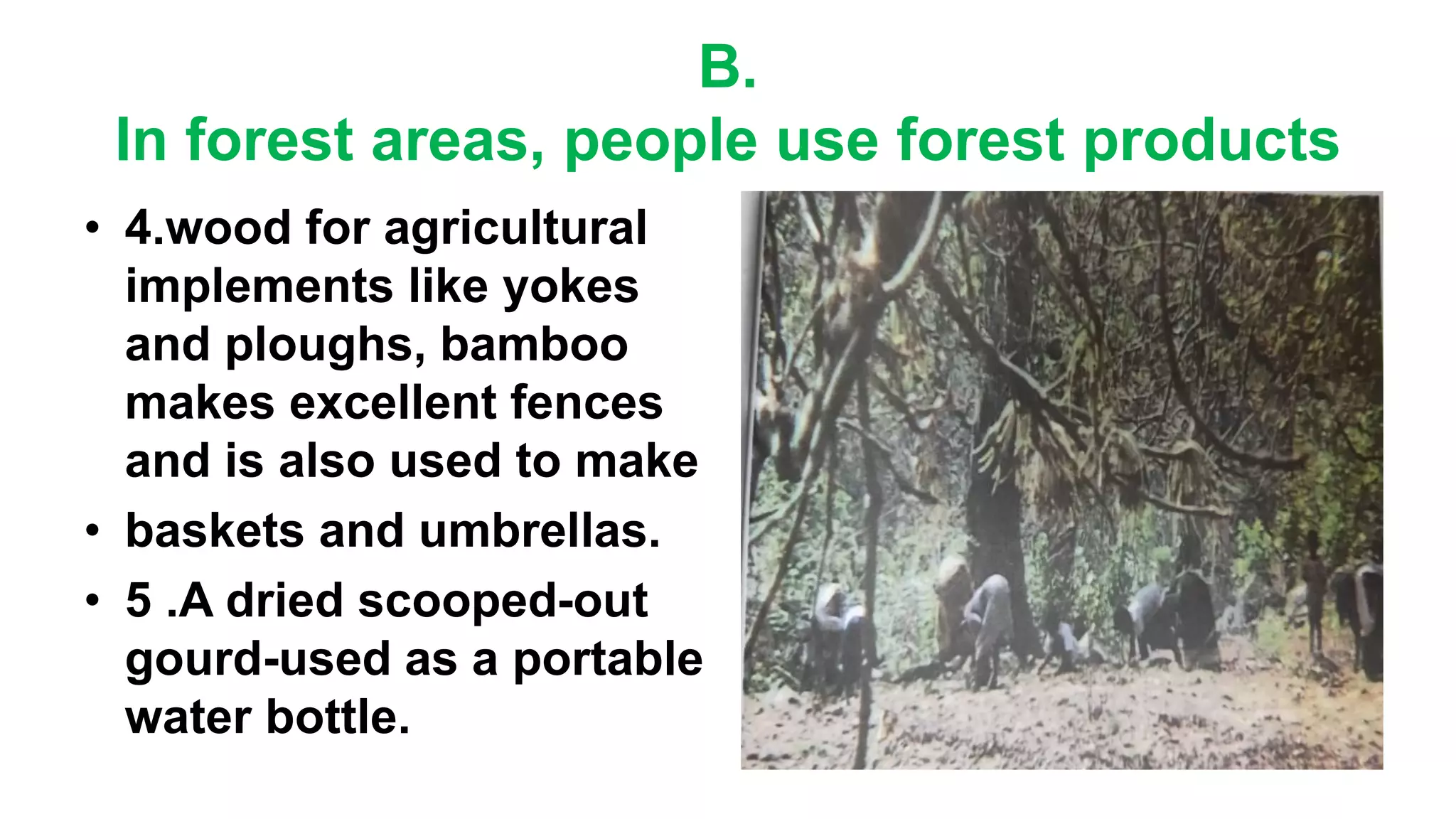 9th..Forest, Society and Colonialism .pptx