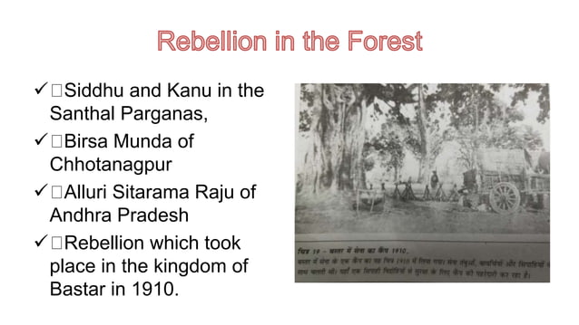 9th..Forest, Society and Colonialism .pptx | Woodworking | Arts and Crafts