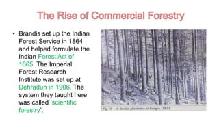 9th..Forest, Society and Colonialism .pptx