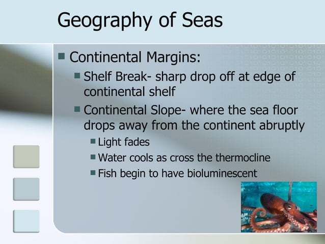 9th Grade Chapter 4 Lesson 3 | PPT