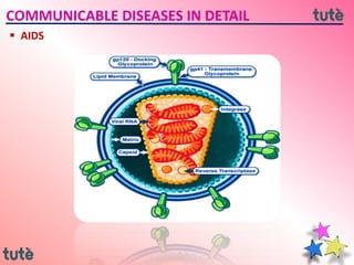 9 th ICSE - Biology - Diseases and First-aid | PPTX