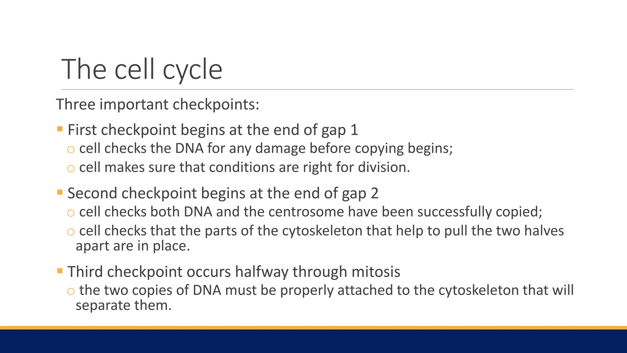 9th_2025-I-05_-_The_cell_cycleeeeeeeeeee (1).pdf