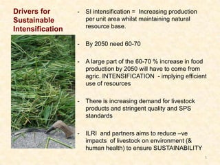 Application of the principles of Sustainable Intensification (SI) on ...
