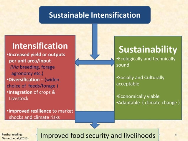 Application of the principles of Sustainable Intensification (SI) on ...