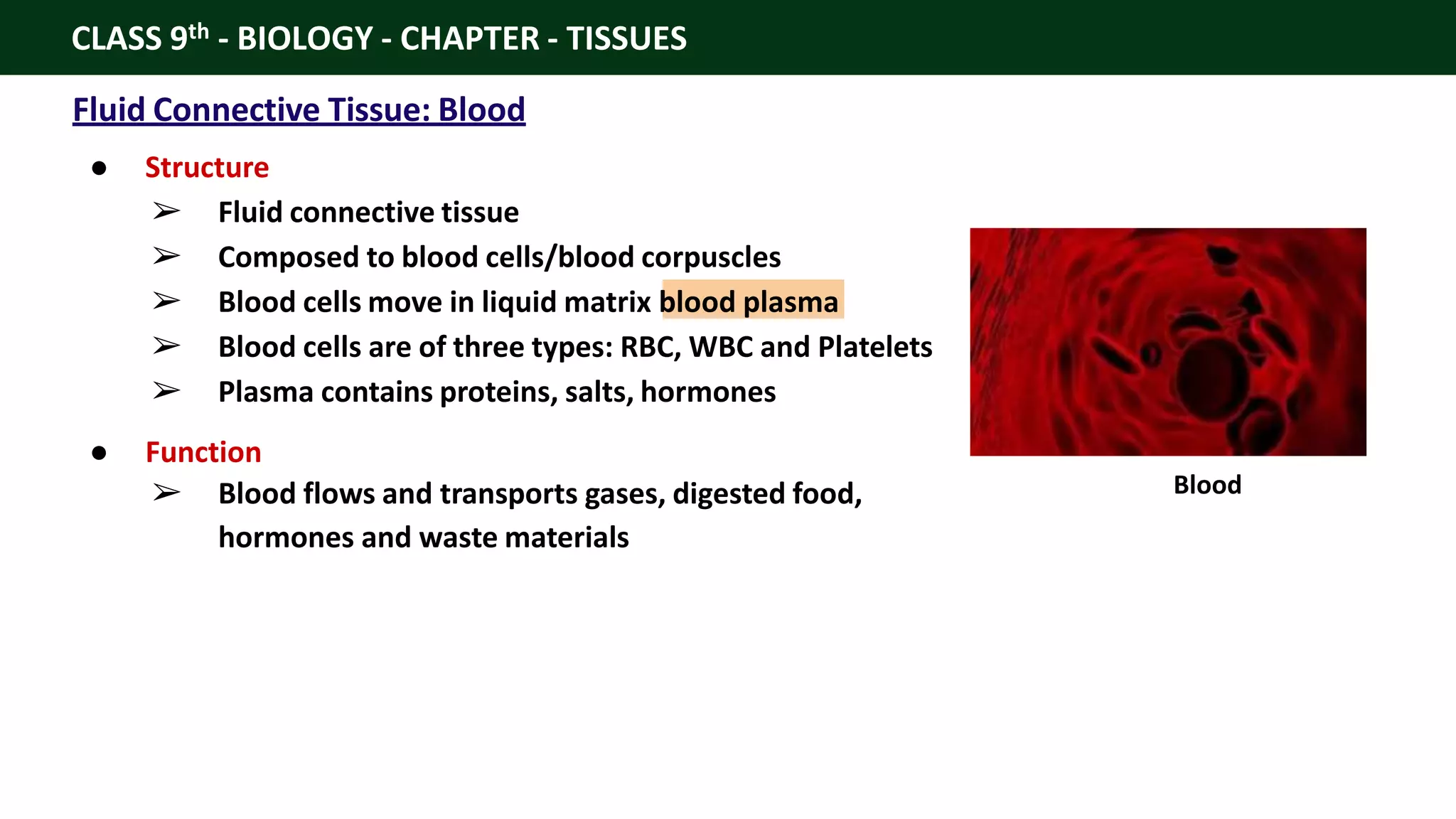 9th Biology - Chapter 2 Tissues.pptx