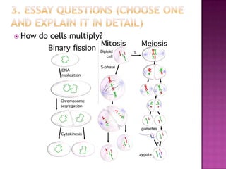9th biology diagnostics exam answers | PPT