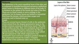 Integumentary system .ppsx