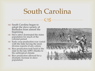 9) the southern colonies and english dominance | PPTX