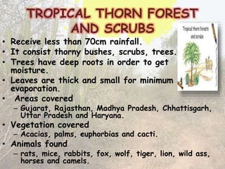 9th Geog Ch5 Natural Vegetation and Wildlife PPT-2.pptx