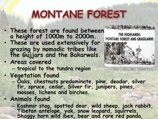 9th Geog Ch5 Natural Vegetation and Wildlife PPT-2.pptx