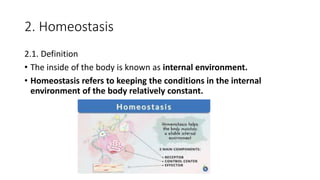 9th grade - Homeostasis and regulation.pptx