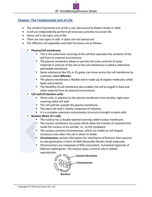 9th Grade Biology.pdf