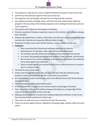 9th Grade Biology.pdf