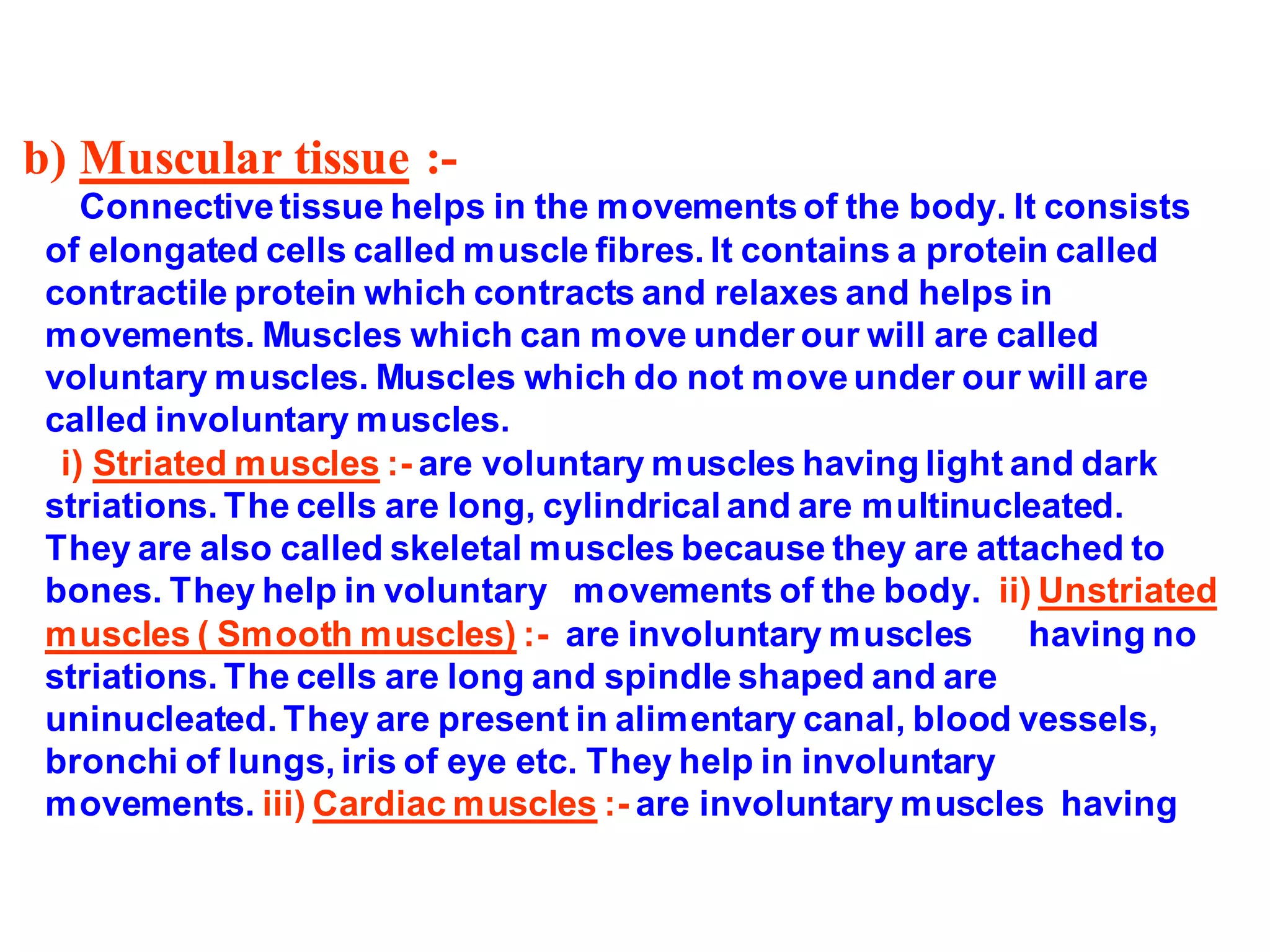 9 th std tissue lesson | DOCX