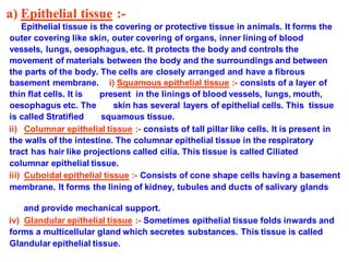 9 th std tissue lesson | DOCX | Gardening | Home & Garden