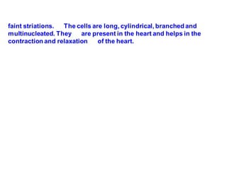 9 th std tissue lesson | DOCX