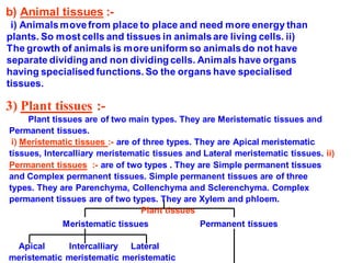 9 th std tissue lesson | DOCX | Gardening | Home & Garden