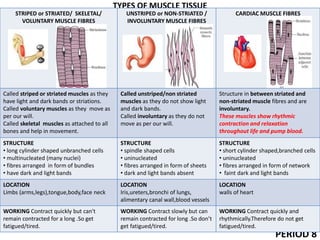 9 tissues ppt | PPTX