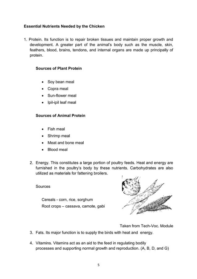 9 tle poultry production module 2_provide feeds | PDF | Agriculture ...