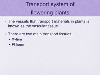 9_ Transport in Plants.ppt