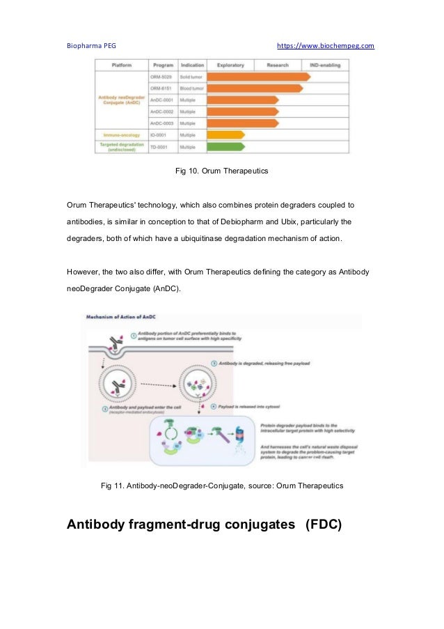 9 Types of Drug Conjugates Overview ADC、RDC、ISAC、SMDC、AOC.pdf