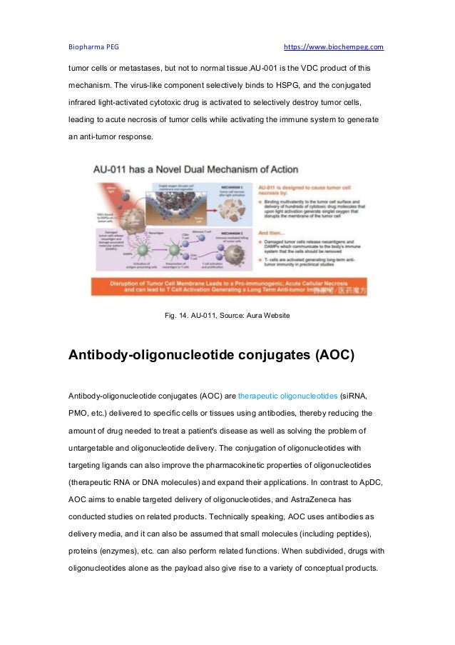 9 Types of Drug Conjugates Overview ADC、RDC、ISAC、SMDC、AOC.pdf