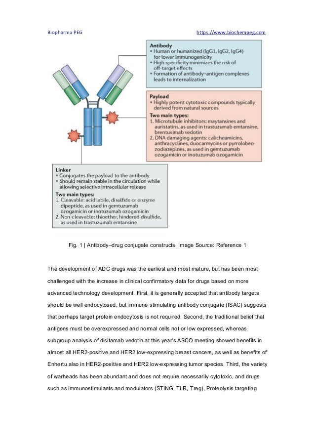 9 Types of Drug Conjugates Overview ADC、RDC、ISAC、SMDC、AOC.pdf