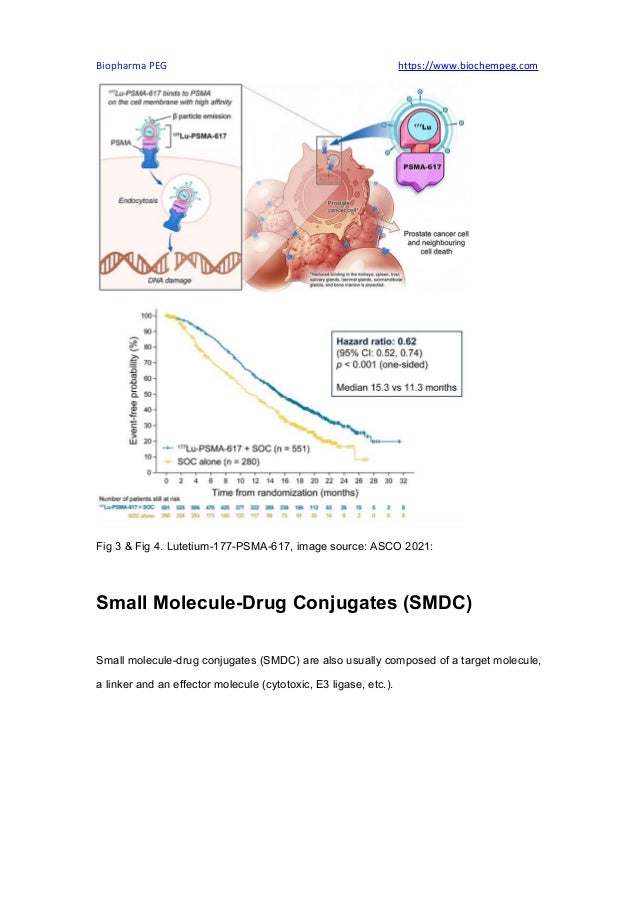 9 Types of Drug Conjugates Overview ADC、RDC、ISAC、SMDC、AOC.pdf