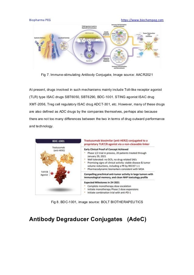 9 Types of Drug Conjugates Overview ADC、RDC、ISAC、SMDC、AOC.pdf