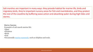 9 types of marine ecosystem | PPTX