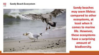 9 types of marine ecosystem | PPTX