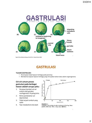 GASTRULASI-2014-GASTRULASI-GASTRULASI.pdf