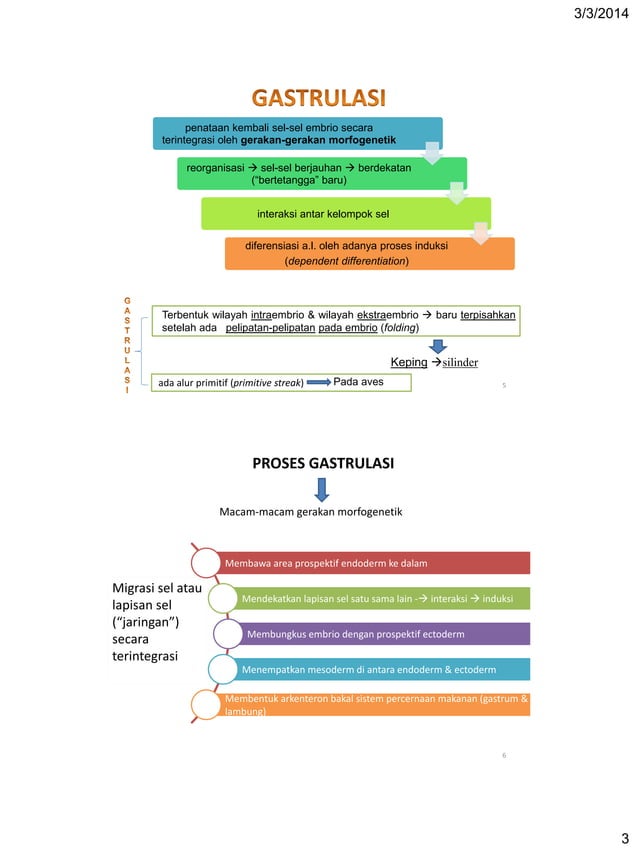 GASTRULASI-2014-GASTRULASI-GASTRULASI.pdf