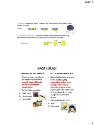 GASTRULASI-2014-GASTRULASI-GASTRULASI.pdf