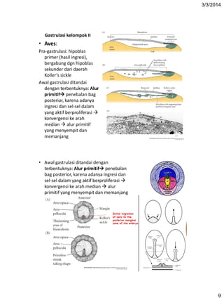 GASTRULASI-2014-GASTRULASI-GASTRULASI.pdf