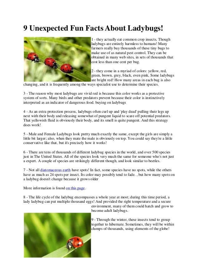 9 unexpected fun facts about ladybugs