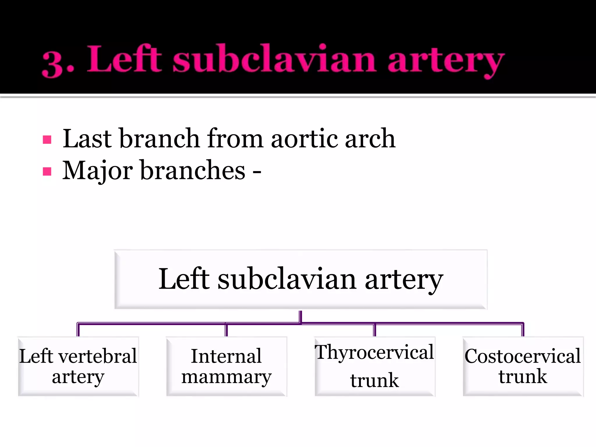 Vascular brain anatomy for Radiology by Dr Soumitra Halder | PPTX