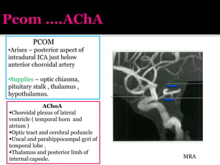 Vascular brain anatomy for Radiology by Dr Soumitra Halder | PPTX